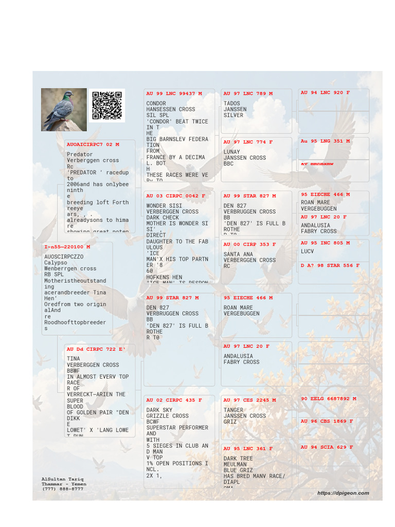 Deep Rothe Pigeon Breeding Insights | PDF