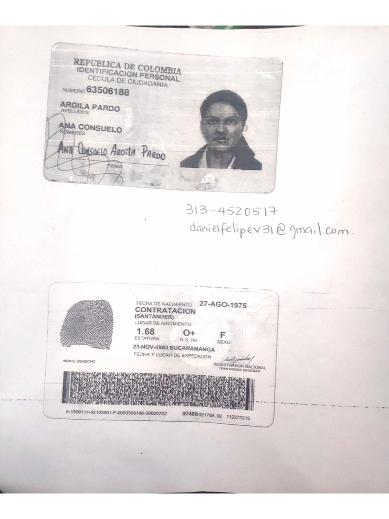 CC Ana | PDF
