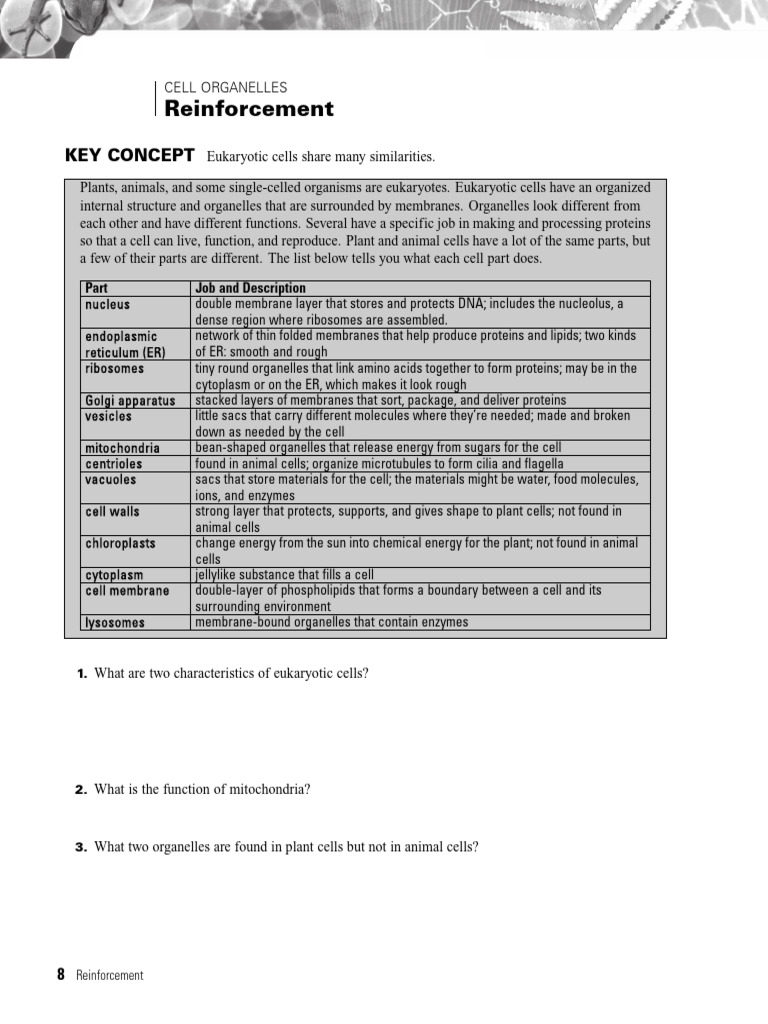 Ana Valentina Martinez Martinez - Reinforcement Ch.7 Lesson 2a | PDF ...