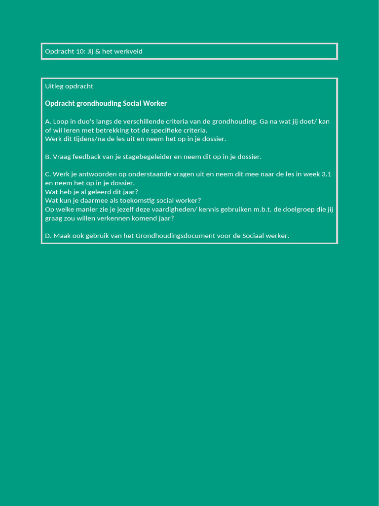 Opdracht 10 Jij & Het Werkveld | PDF