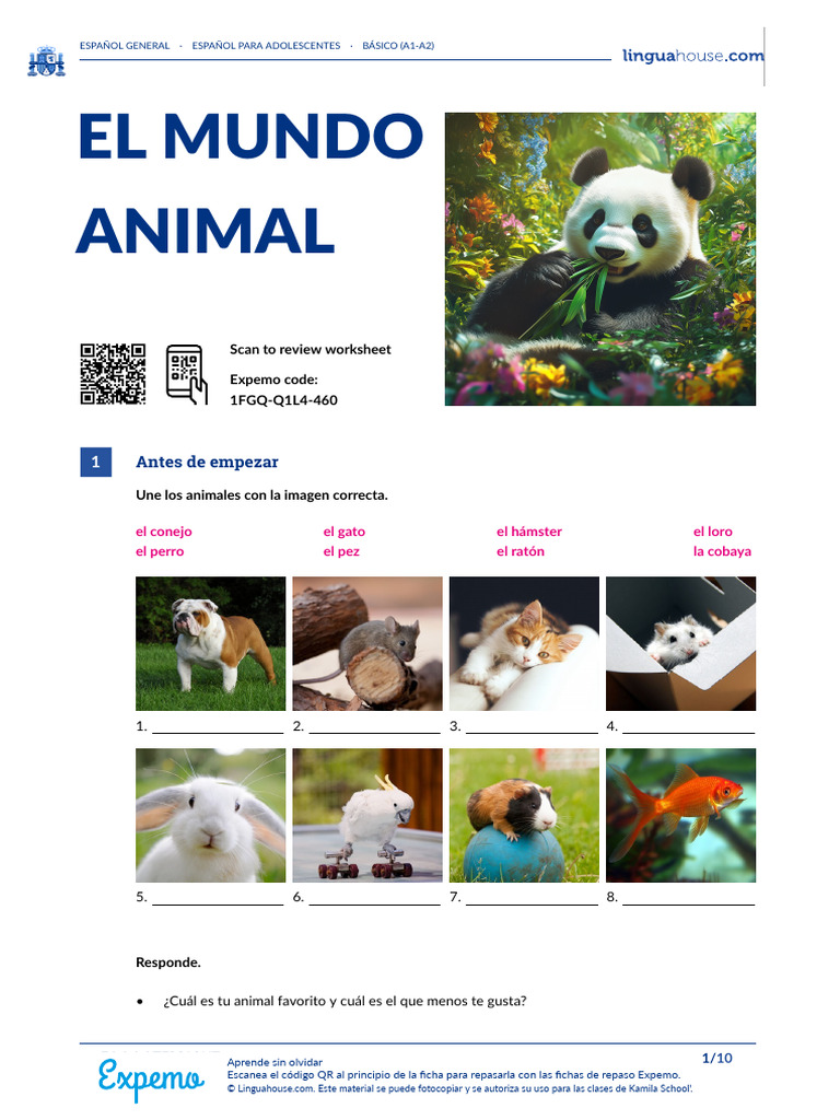 El Mundo Animal Castellano Spanish Student A1 A2 | PDF | Reptil | Pescado