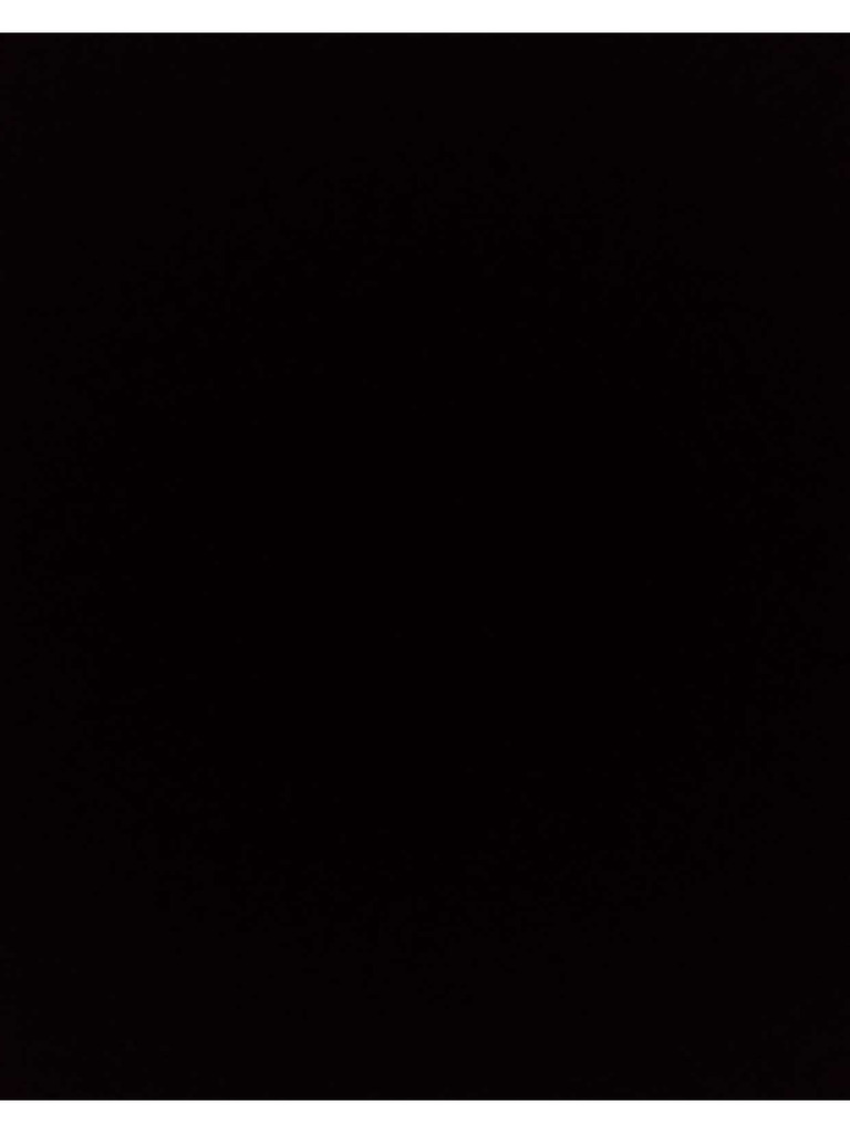 1000000875 Pdf