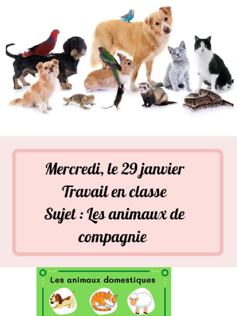 Les Animaux | PDF