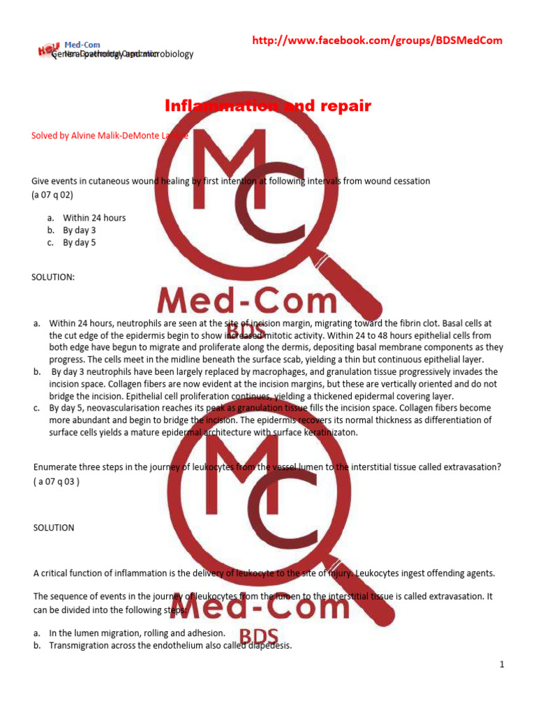 Inflammation and Repairpdf Version 1 - 240924 - 163548 | PDF | Wound ...