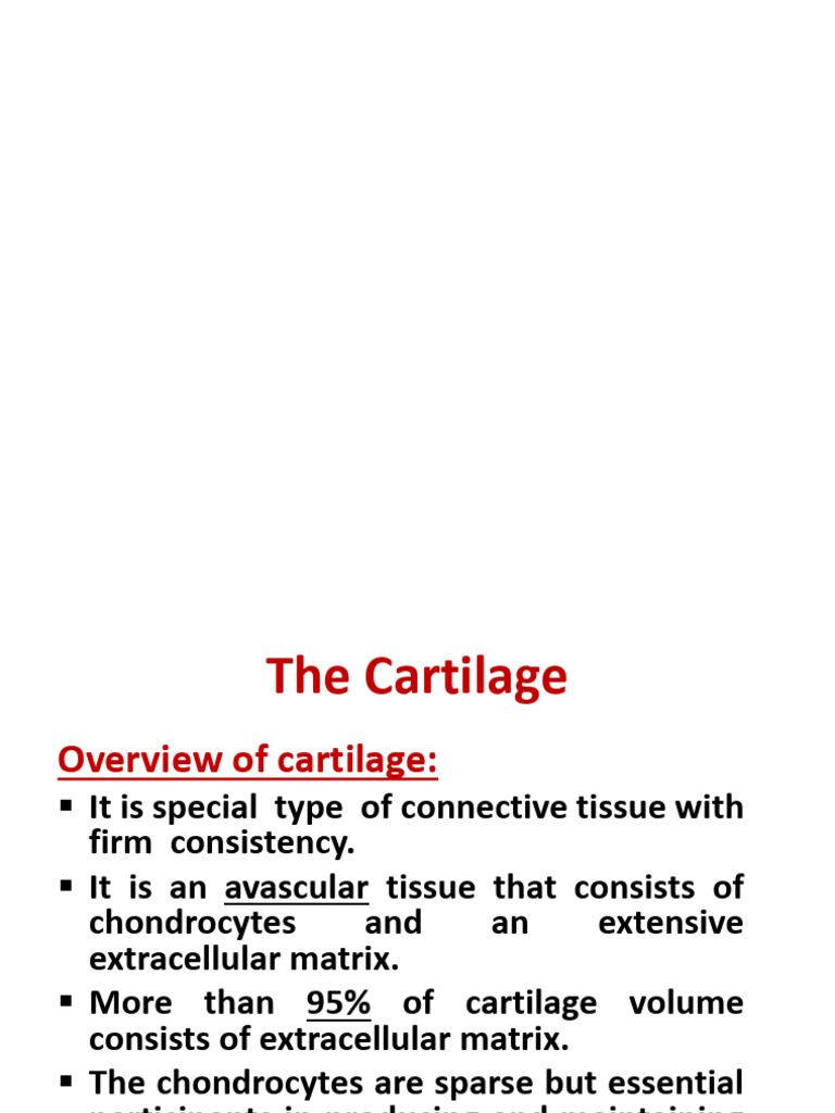Lecture of Cartilage & Bone | PDF | Bone | Osteoblast