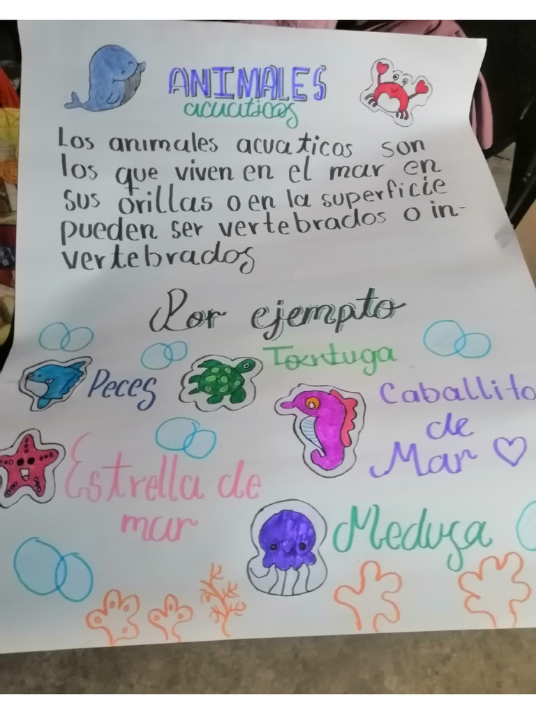 Animales Acuáticos Infografía | PDF
