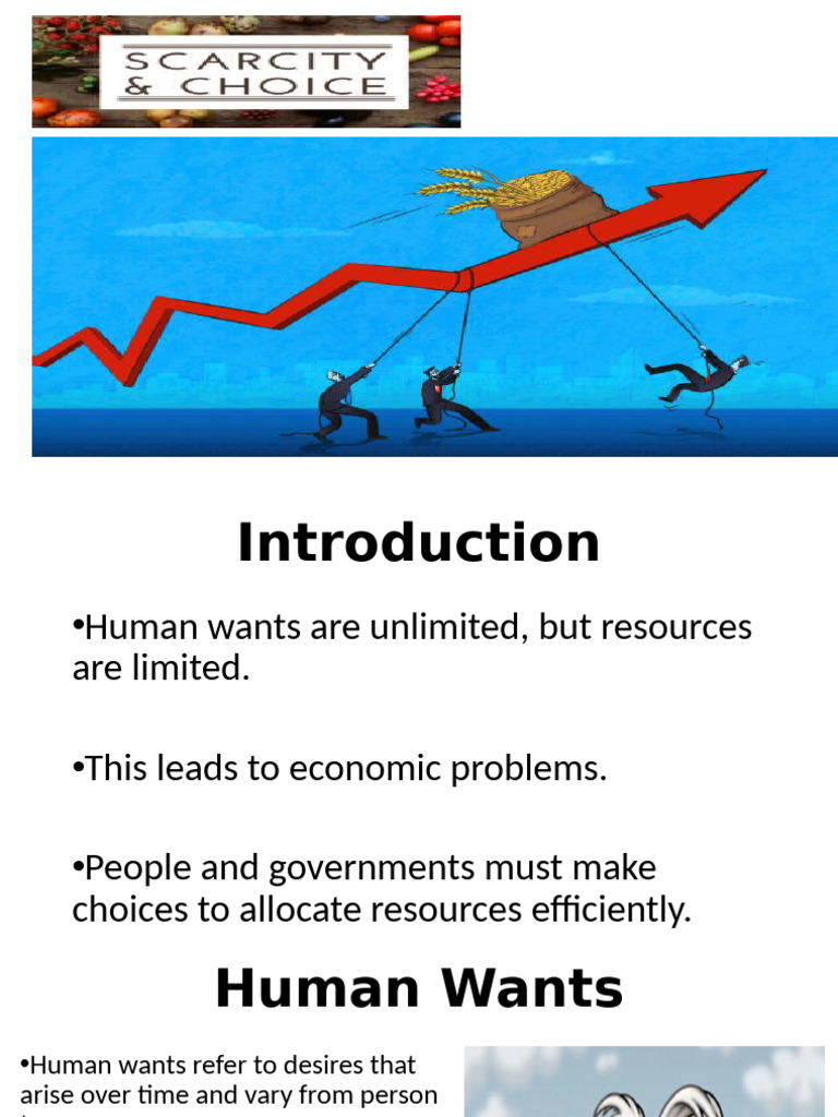 Scarcity and Choice | PDF | Economies | Economics