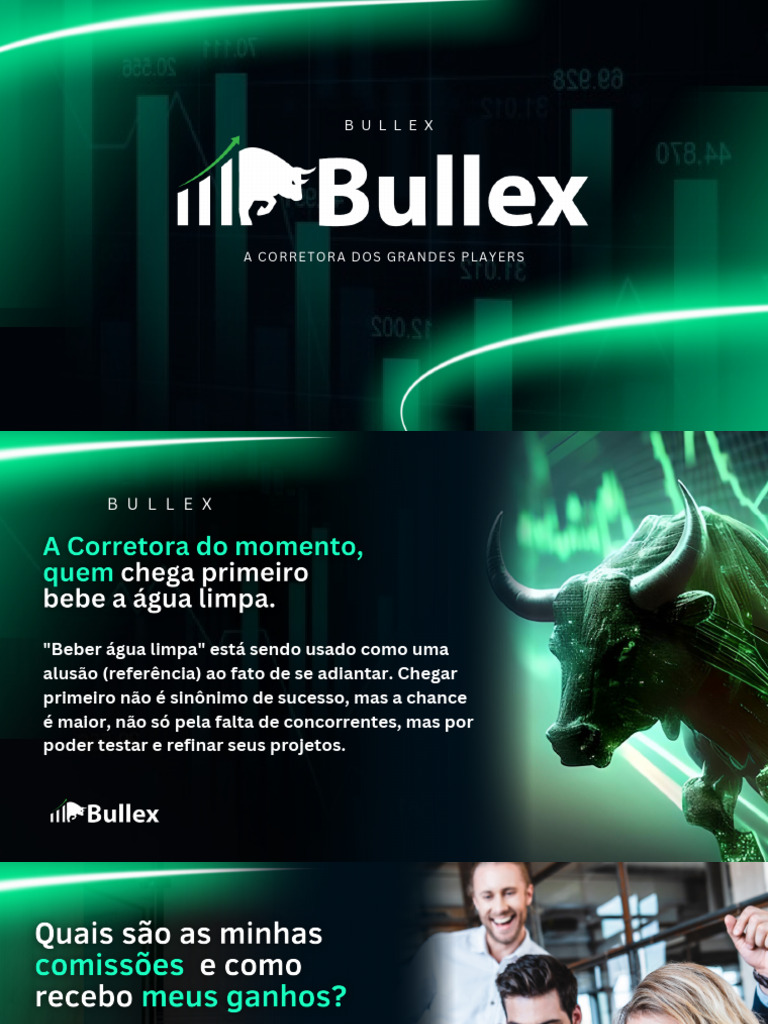 Apresentação Bullex Novo | PDF