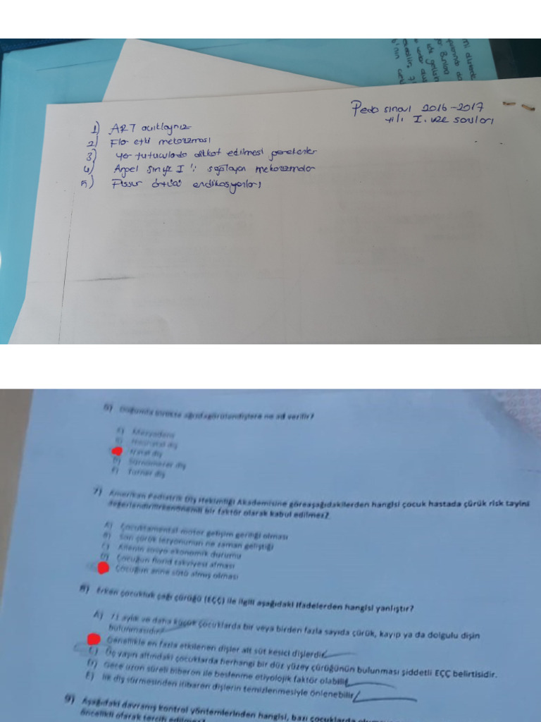 Pedo 1 Vize Tek Dosya - 250113 - 212903 | PDF