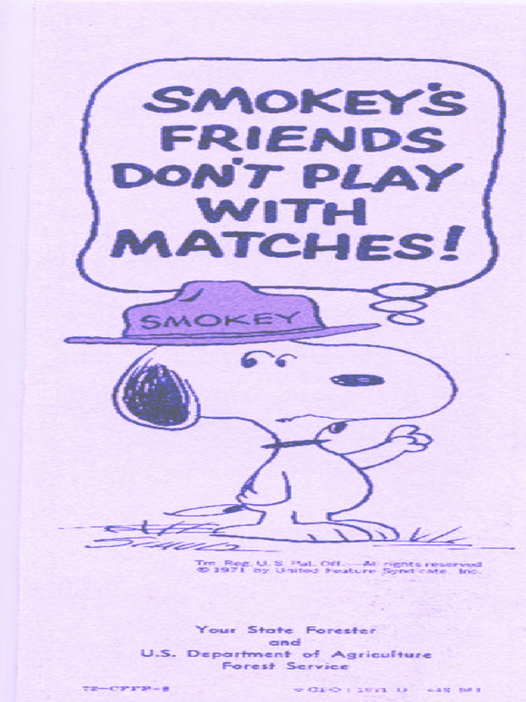 Snopp | PDF