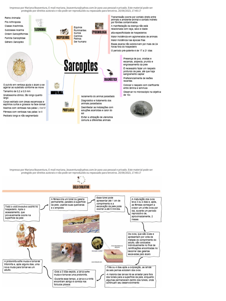 Carrapatos - Gênero Sarcoptes | PDF | Zoologia