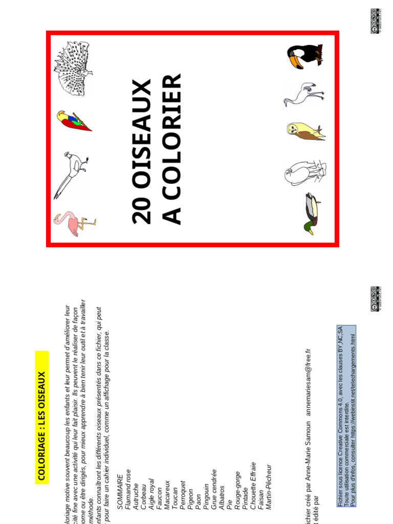 Coloriez 20 Oiseaux Variés | PDF