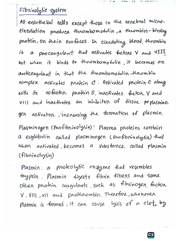 Physio Assignment | PDF