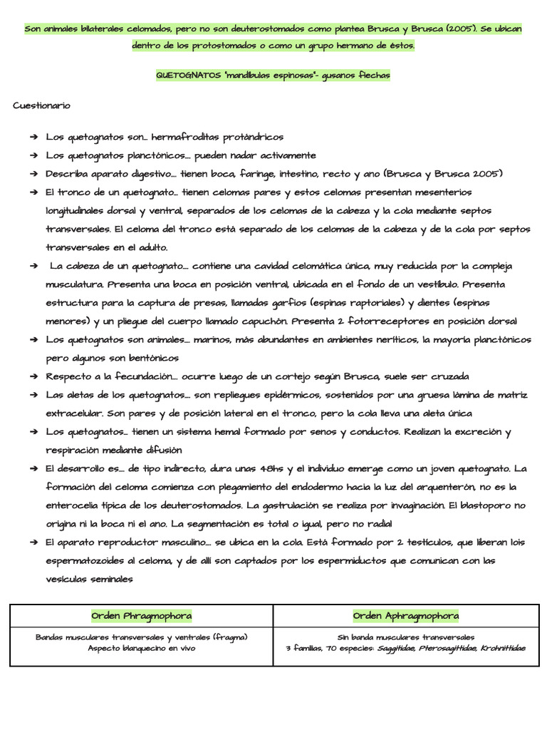 Quetognatos | PDF | Boca | Anatomía
