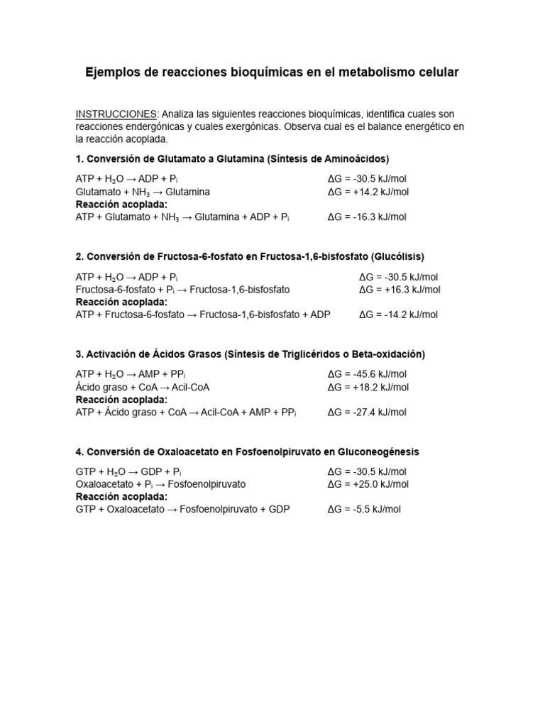Ejemplos de RX Endergonicas y Exergonicas en El Metabolismo | PDF