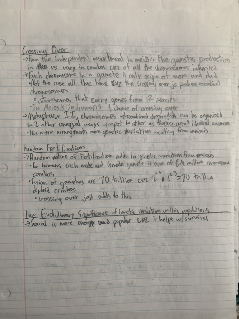 Part 1 Genetics | PDF