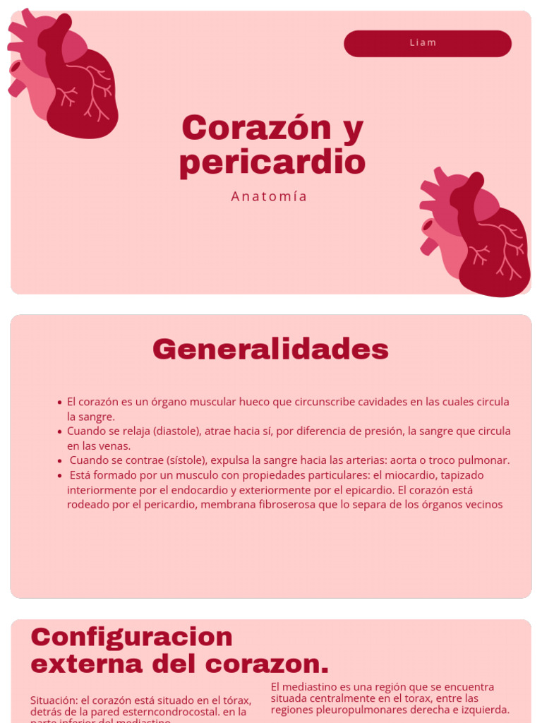 Capas del corazón y pericardio | PDF | Corazón | Sistema circulatorio