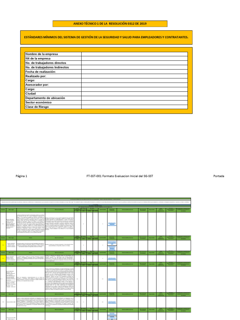 FT-SST-001 Formato Evaluacion Inicial Del SG-SST | PDF
