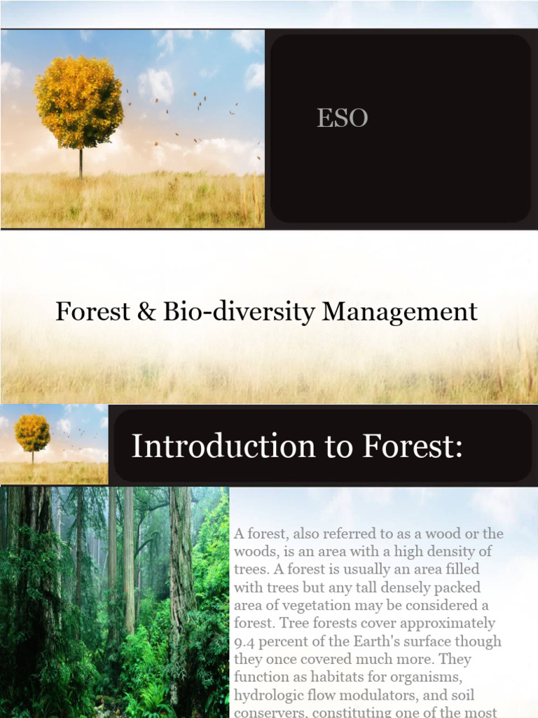 5-Forest and Biodiversity Management | PDF | Forests | Biodiversity