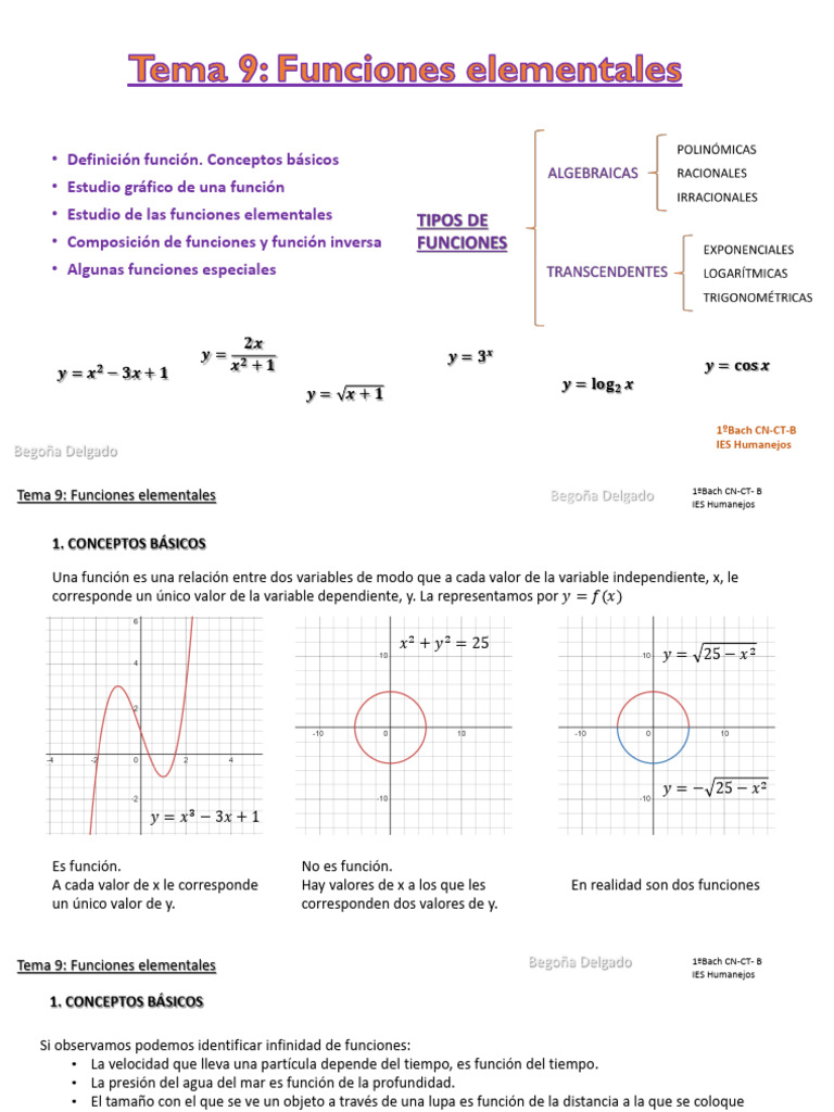 Tema 9 - Funciones Elementales | PDF | Asíntota | Función (Matemáticas)