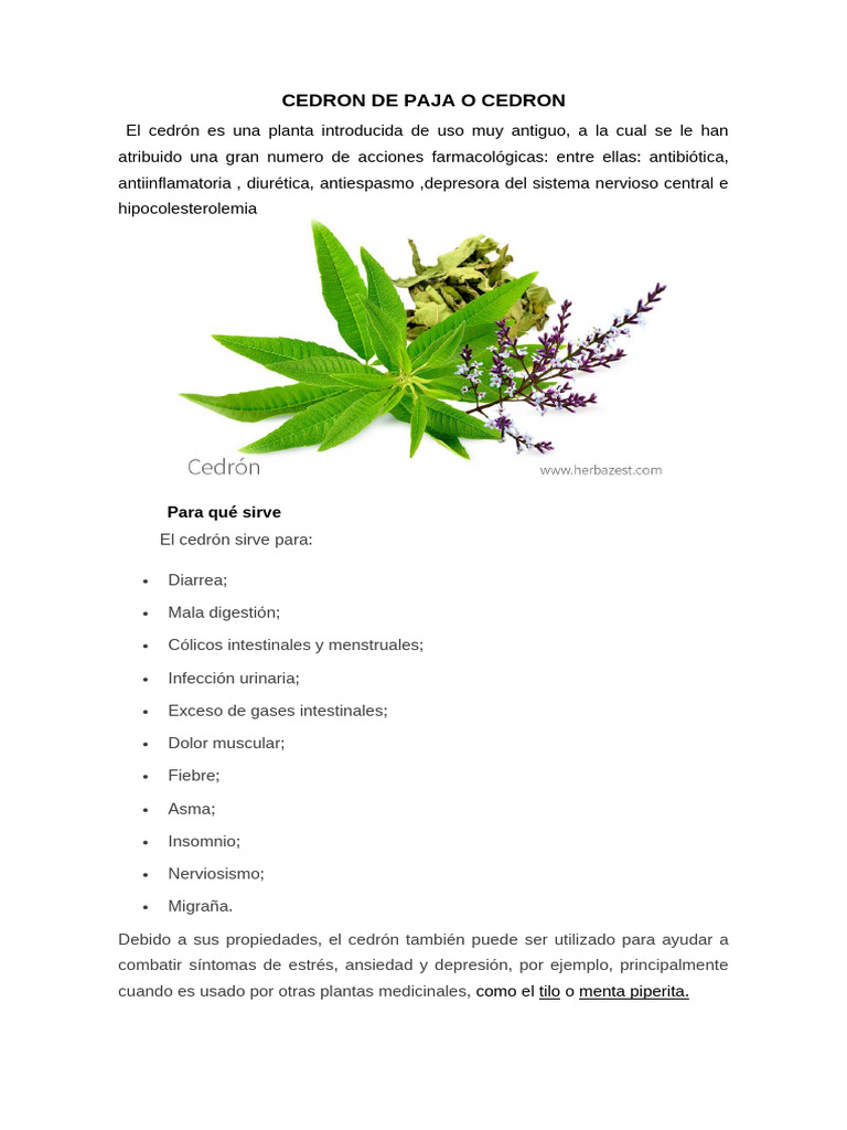 Cedron de Paja o Cedron | PDF