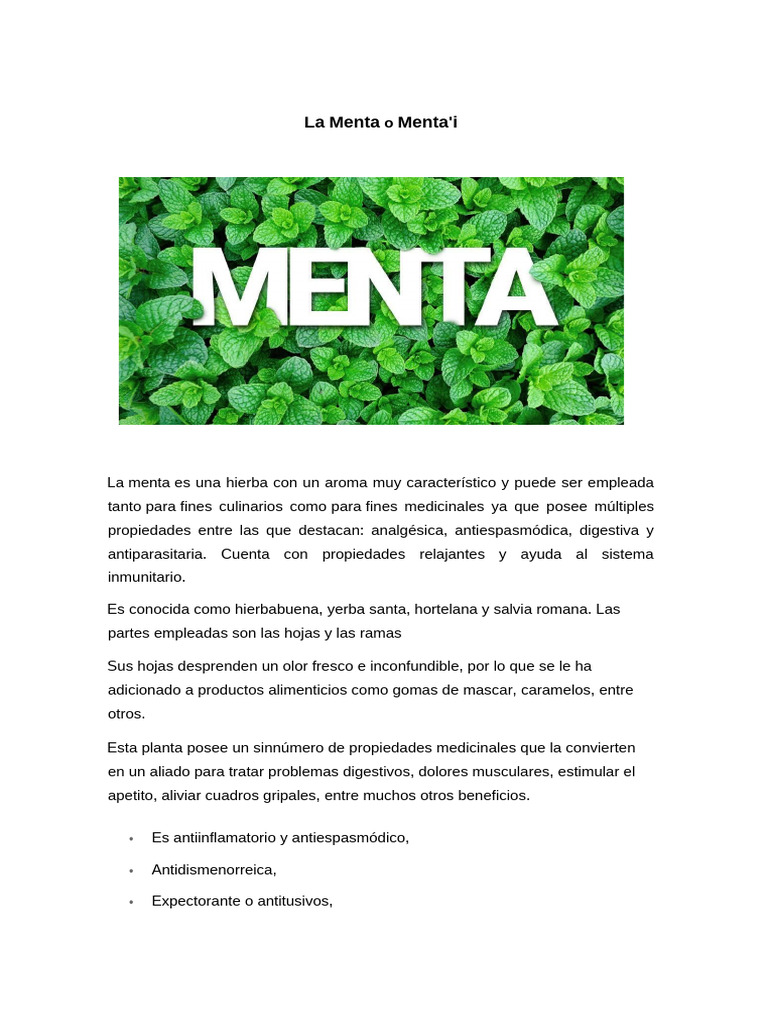 Menta | PDF