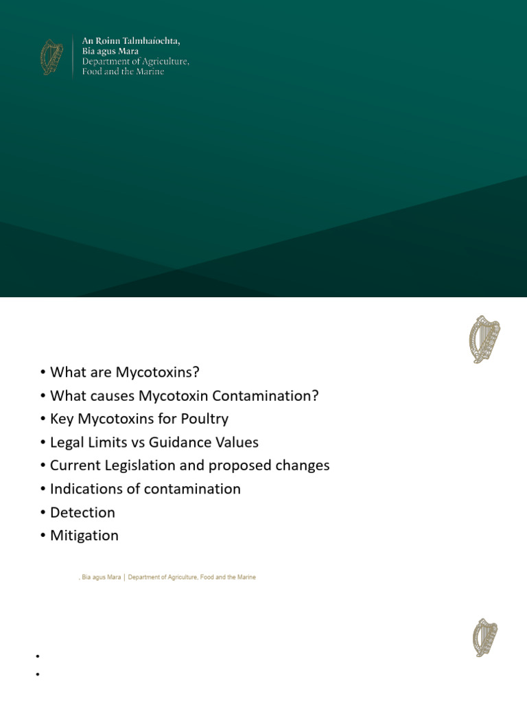 Mycotoxins in Poultry Feed | PDF | Mycotoxin | Mold
