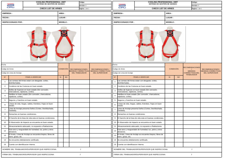 Check List Arnes | PDF