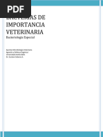 Características del exudado purulento | PDF | Infección | Medicina CLINICA