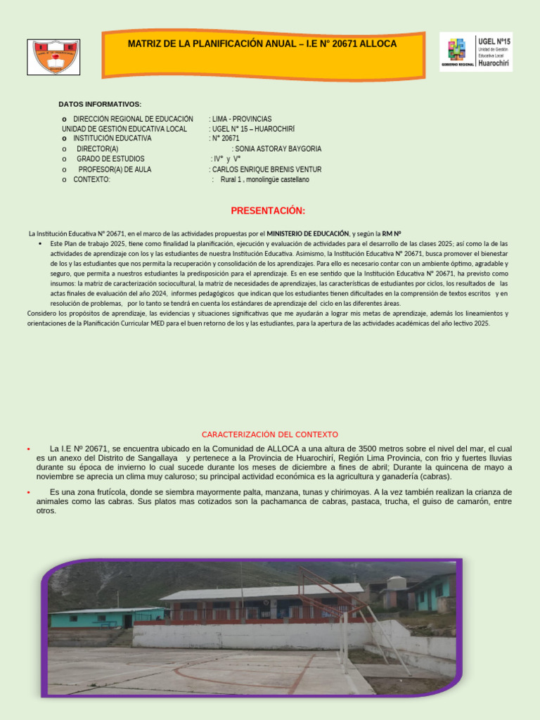 Plan de Trabajo 2025 I.E. N° 20671 Alloca | PDF | Evaluación | Aprendizaje