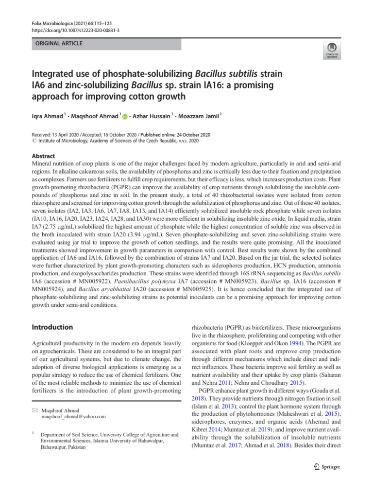 Integrated Use of Phosphate-Solubilizing Strain IA6 and Zinc-Solubilizing Sp. Strain IA16: A ...