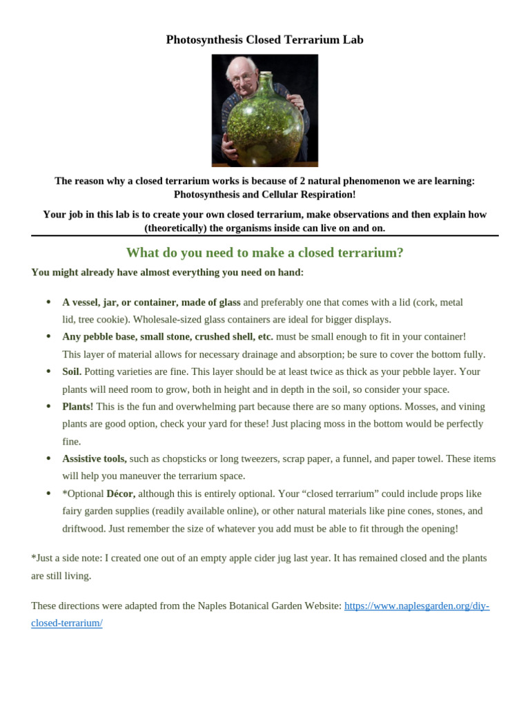 Closed Terrarium Photosynthesis Lab | PDF | Photosynthesis | Earth Sciences