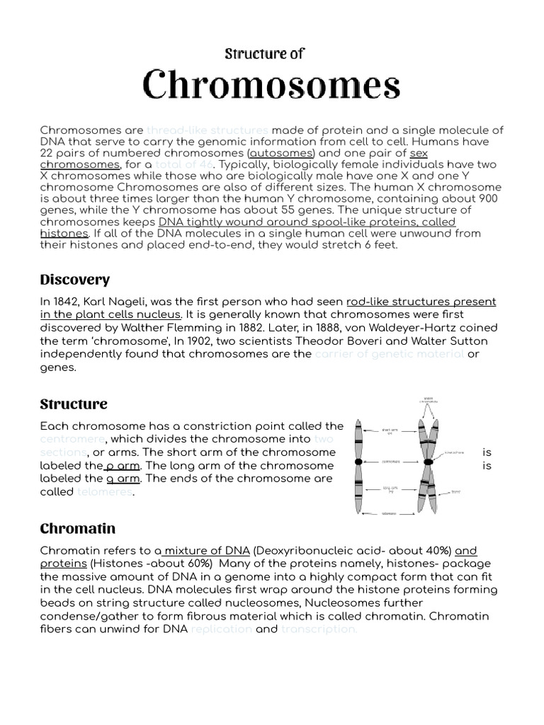 Structure of Chromosomes | PDF | Chromosome | Dna