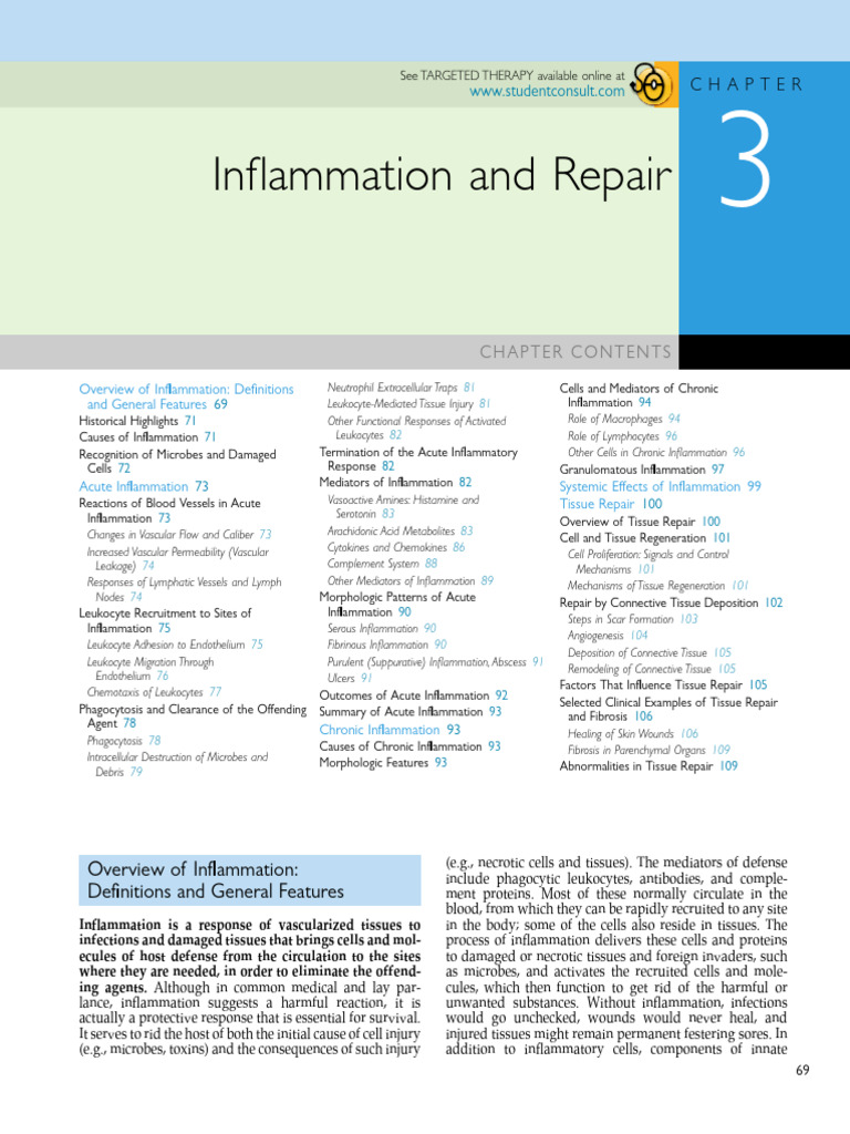 Cell Inflammation Path | PDF | Inflammation | Endothelium