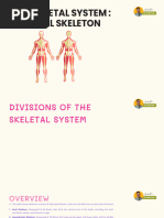 Common Bone Markings | PDF