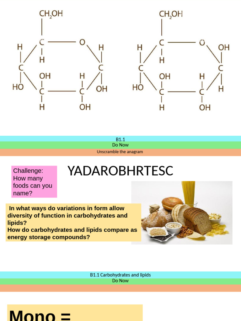 B1.1 Carbohydrates and Lipids 2023 | PDF | Carbohydrates | Polysaccharide