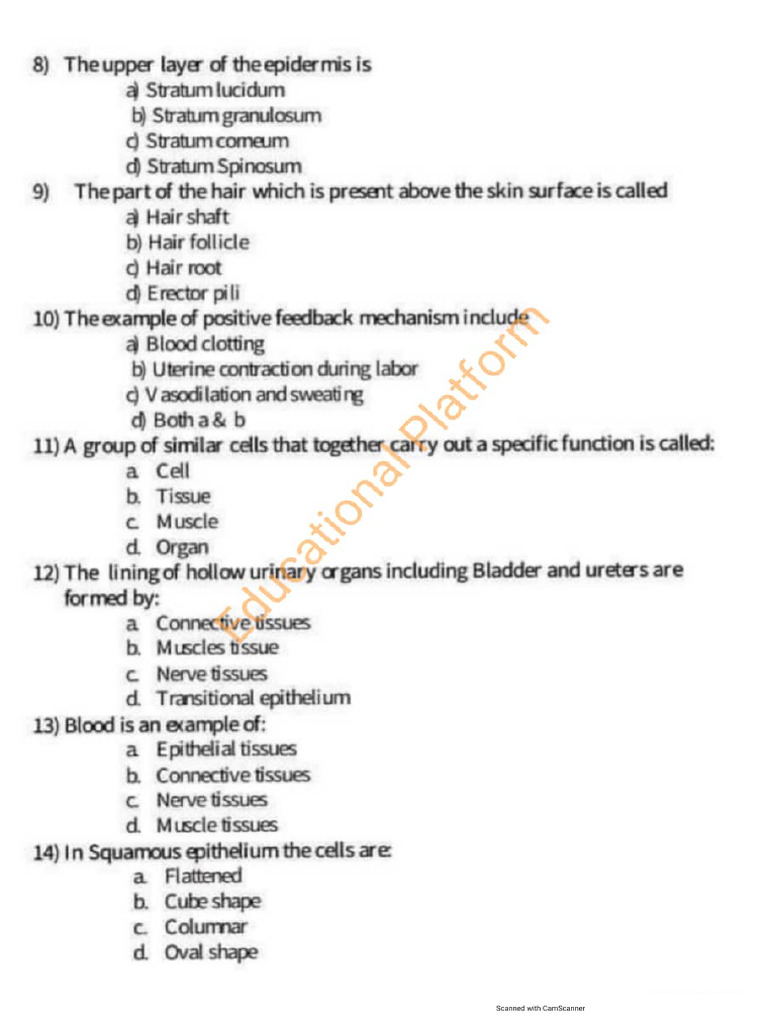 Microbiology 1st Semester BSN Mcqs For Practice, Educational Platform | PDF