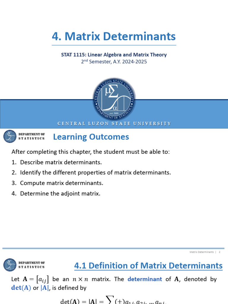 STAT1115 Module 4. Matrix Determinants - 242502 | PDF | Determinant | Matrix (Mathematics)