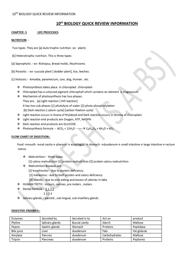 10th Biology Quick Review Information | PDF | Heredity | Hormone