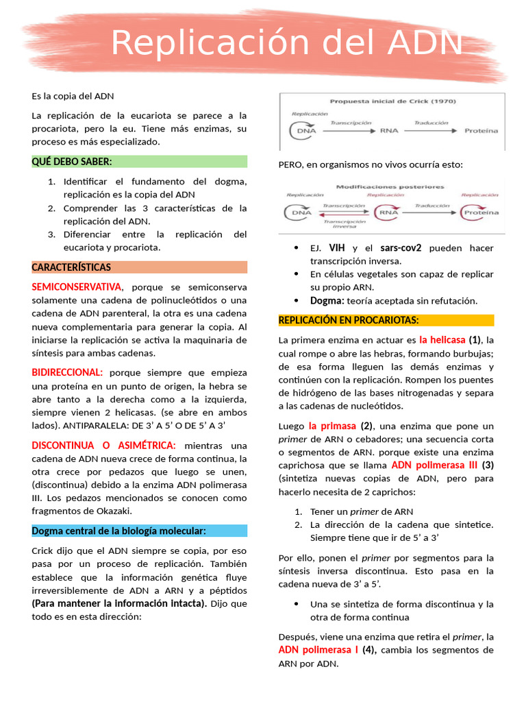 Replicación Del Adn | PDF | Replicación De Adn | Adn