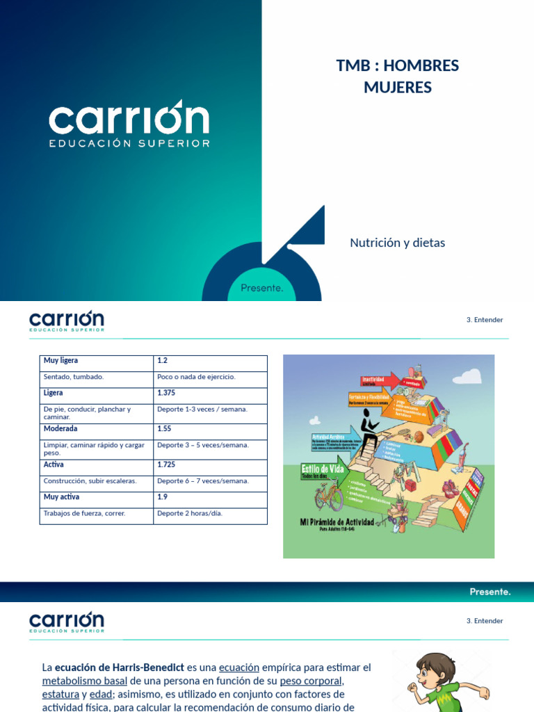 Calculo Tmb. Imc, DX Imc. | PDF | Alimentos | Nutrición
