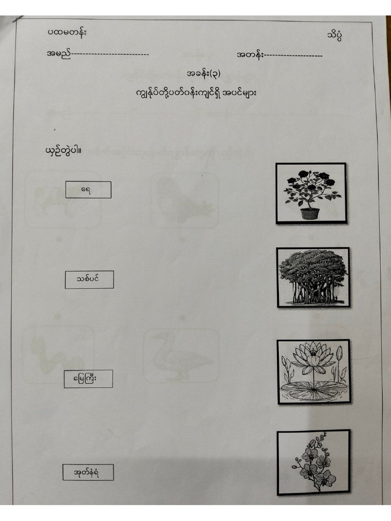 Sci 1 | PDF