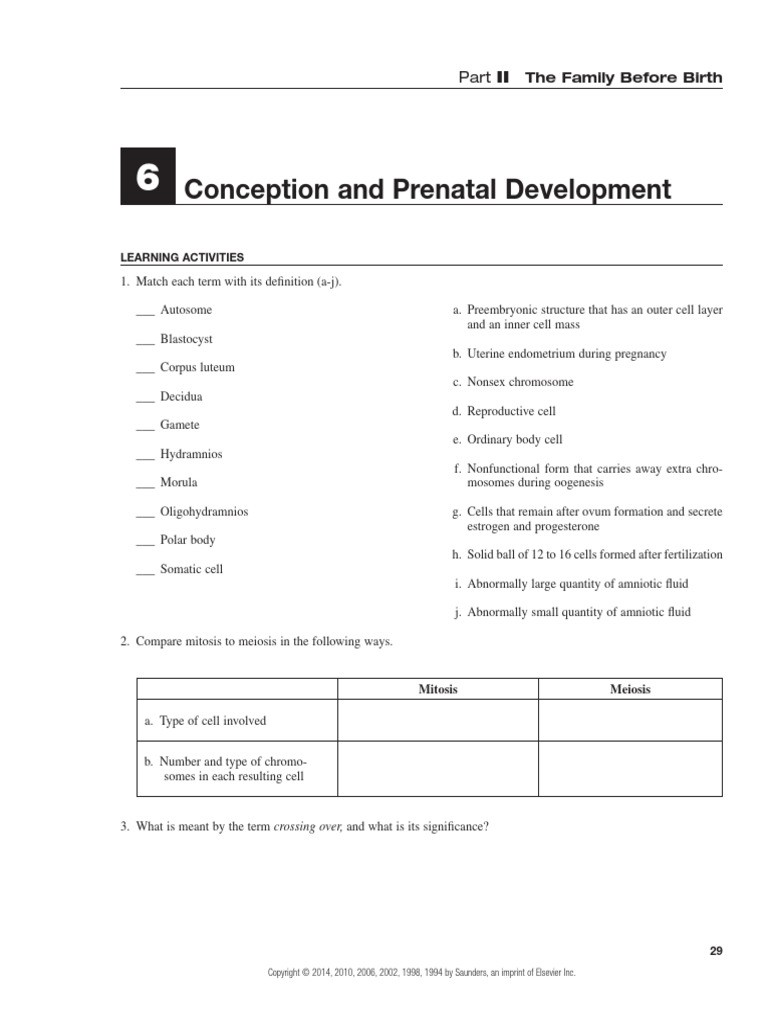 Konsepsi Dan Prenatal Development | PDF | Fetus | Twin