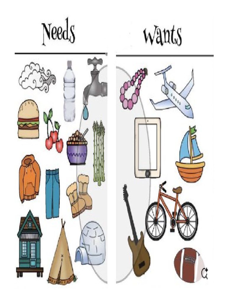 Needs and Wants | PDF