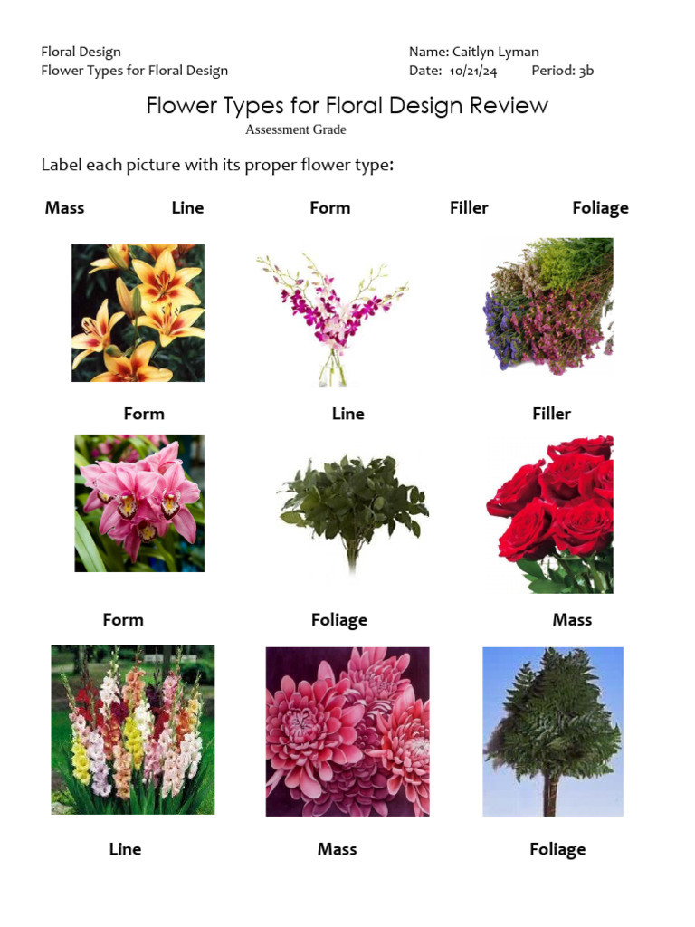 Flower - Types - Review Assessment Grade | PDF