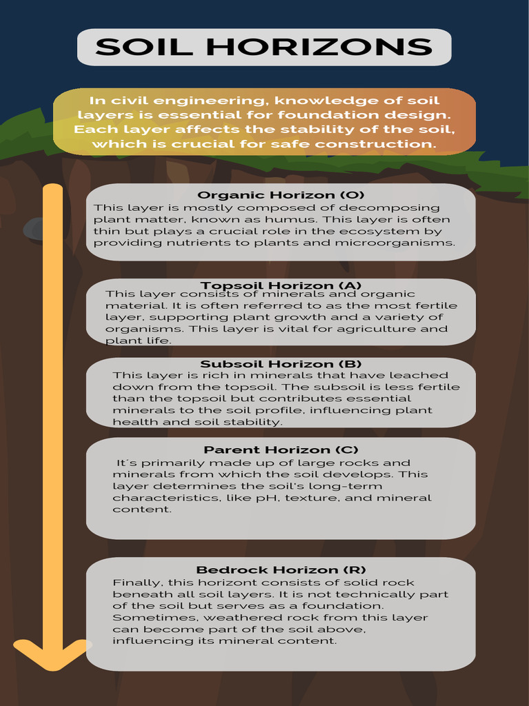 Soil Horizons Infographic in Brown Blue Organic Simple Style | PDF