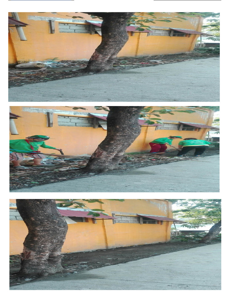 Dole Tupad Program | PDF