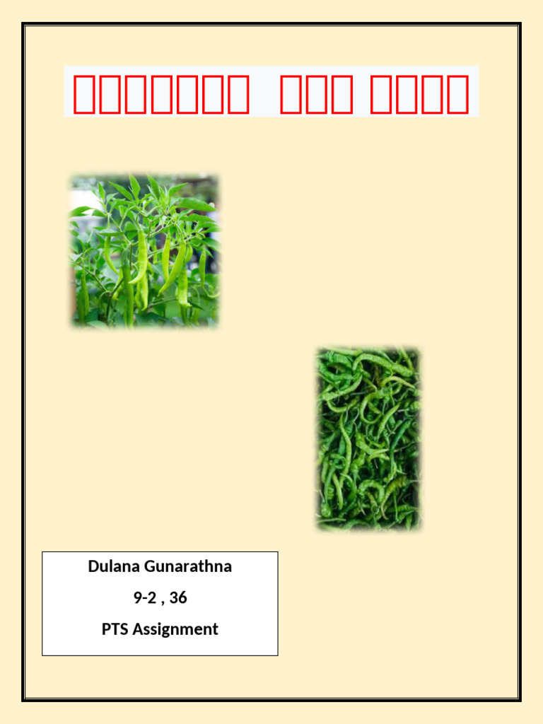 Dulana Gunarathna 9-2, 36 PTS Assignment | PDF