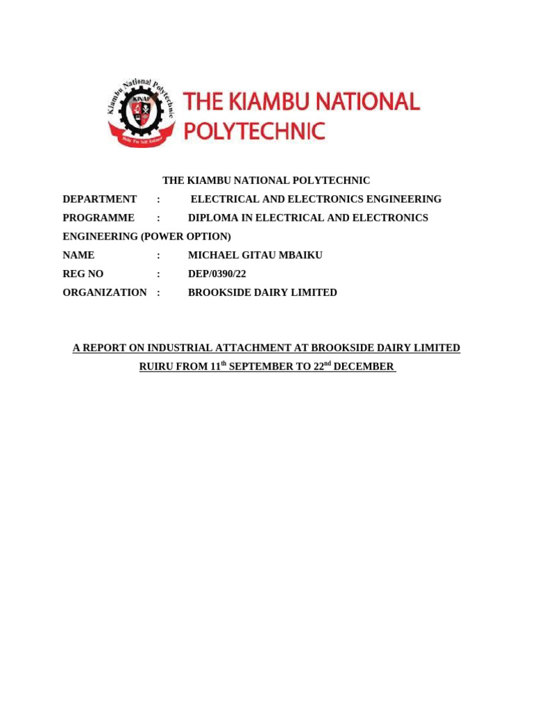 MICHAEL GITAU MBAIKU_POST ATTACHMENT REPORT (1) | PDF | Butter | Milk