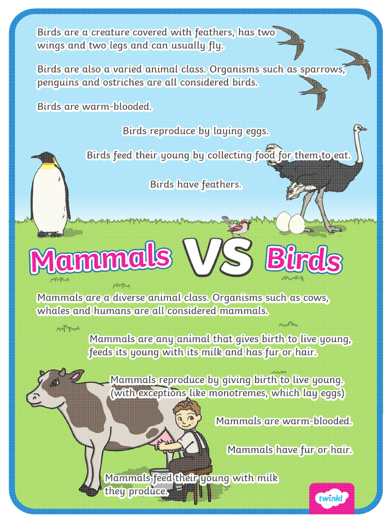 Mammals vs Birds Comparison Poster | PDF